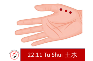 Master Tung's Acupuncture 22.11 Tu shui 【土水】 - סינימד - רפואה סינית ...